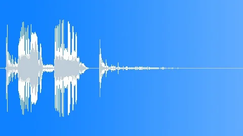 Unknown Flintlock Musket Rifle ~ Sound Effect #79338092