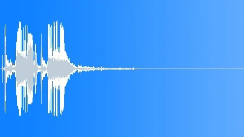 Unknown Flintlock Musket Rifle ~ Sound Clip #79338093