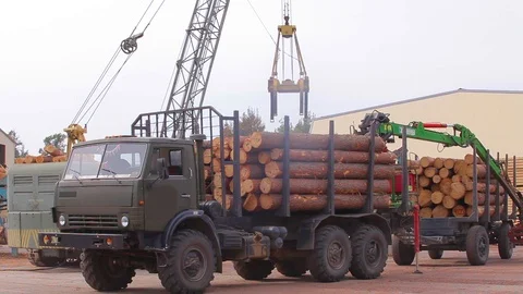 Unloading a log truck with a crane, unlo... | Stock Video | Pond5