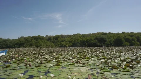 Unmanned Boat Stock Videos – Royalty-Free HD & 4K Videos