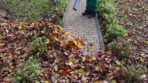 Unrecognizable man man take away dry aut... | Stock Video | Pond5