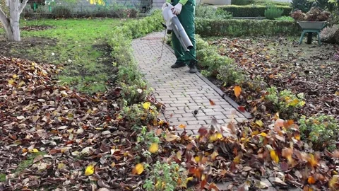 Unrecognizable man man take away dry aut... | Stock Video | Pond5