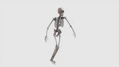 Skeleton Walking Stock Videos – Royalty-Free HD & 4K Videos | Pond5