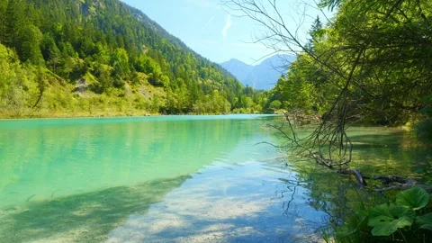 Little Hidden Stock Videos – Royalty-Free HD & 4K Videos | Page 3