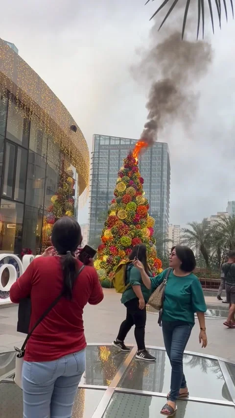 Mom Catches So Stock Videos – Royalty-Free HD & 4K Videos | Pond5