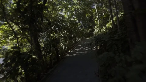 Urban trail inside a park in Rio de Jane... | Stock Video | Pond5