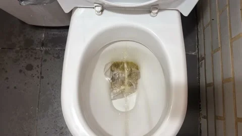 Clogging The Toilet Stock Video Footage | Royalty Free Clogging The ...