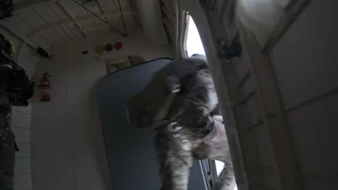 Halo Stock Videos – Royalty-Free HD & 4K Videos | Pond5