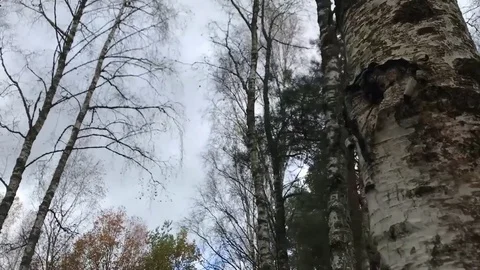 US Army Platoon Live Fire Exercise, Graf... | Stock Video | Pond5