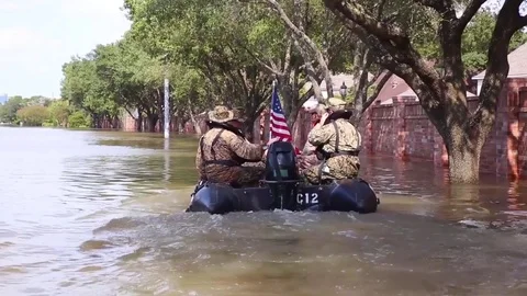Harvey Stock Footage ~ Royalty Free Stock Videos | Pond5