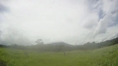 U.S. Marines conduct buddy rushing durin... | Stock Video | Pond5