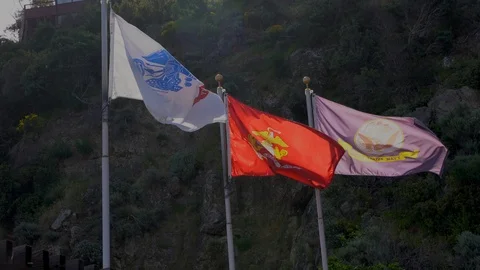 US military flags blowing in the wind | Stock Video | Pond5