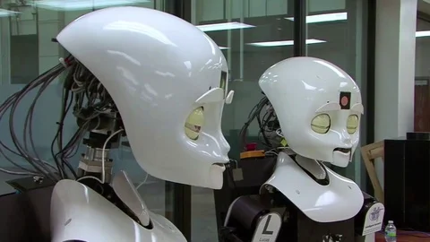 Fake Stock Footage ~ Royalty Free Stock Videos | Pond5