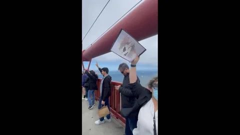 Iran Death Videos Stock Videos – Royalty-Free HD & 4K Videos