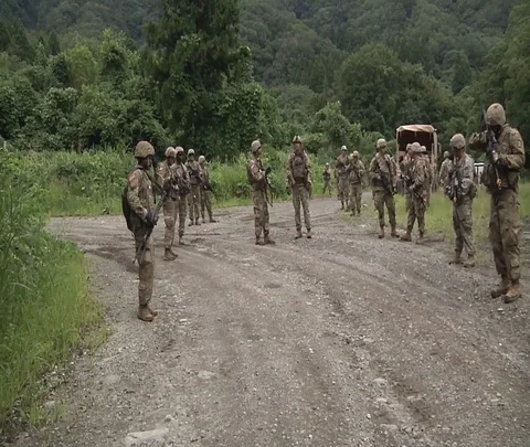 Forest Patrol Stock Video Footage | Royalty Free Forest Patrol Videos ...