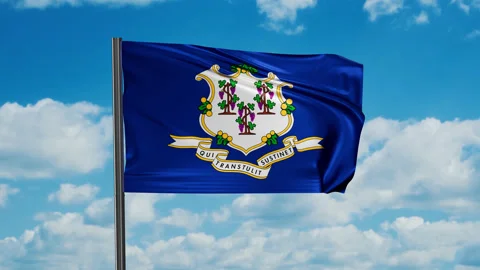US state flag | Stock Video | Pond5