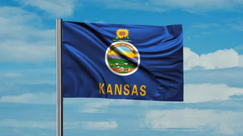 US state flag | Stock Video | Pond5