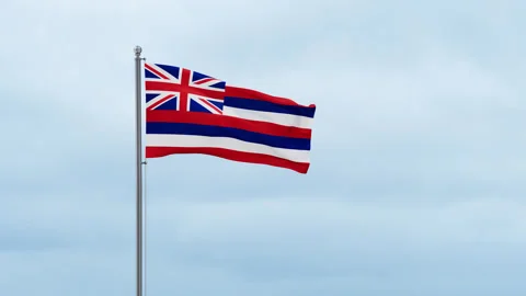 US state flag | Stock Video | Pond5