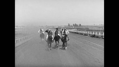 Little Horse Cinema Stock Videos – Royalty-Free HD & 4K Videos | Pond5