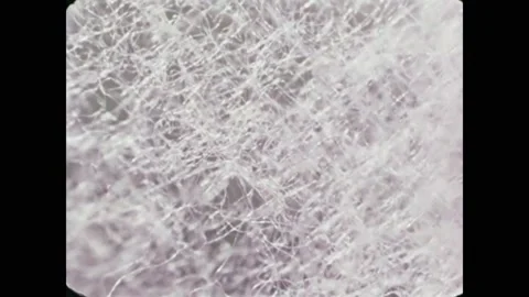 Introduce Stock Footage ~ Royalty Free Stock Videos | Pond5