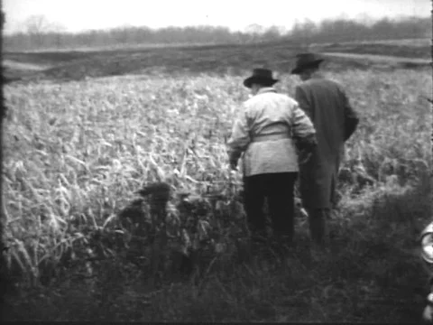 USA - 1954 - The United States Capitol i... | Stock Video | Pond5