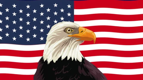 usa flag and eagle animation | Stock Video | Pond5