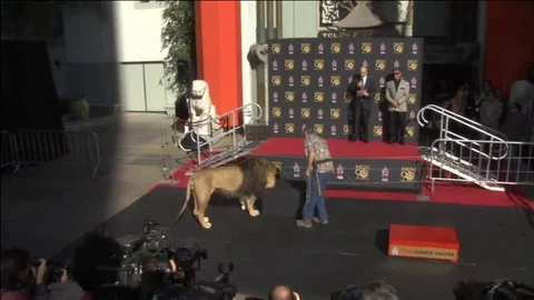 USA: MGM mascot Leo the Lion celebrates ... | Stock Video | Pond5