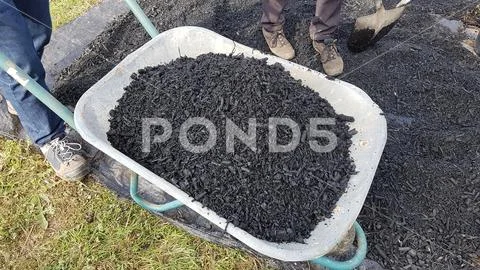 Use of biochar in the vegetable garden. biochar for plants. biochar in ...