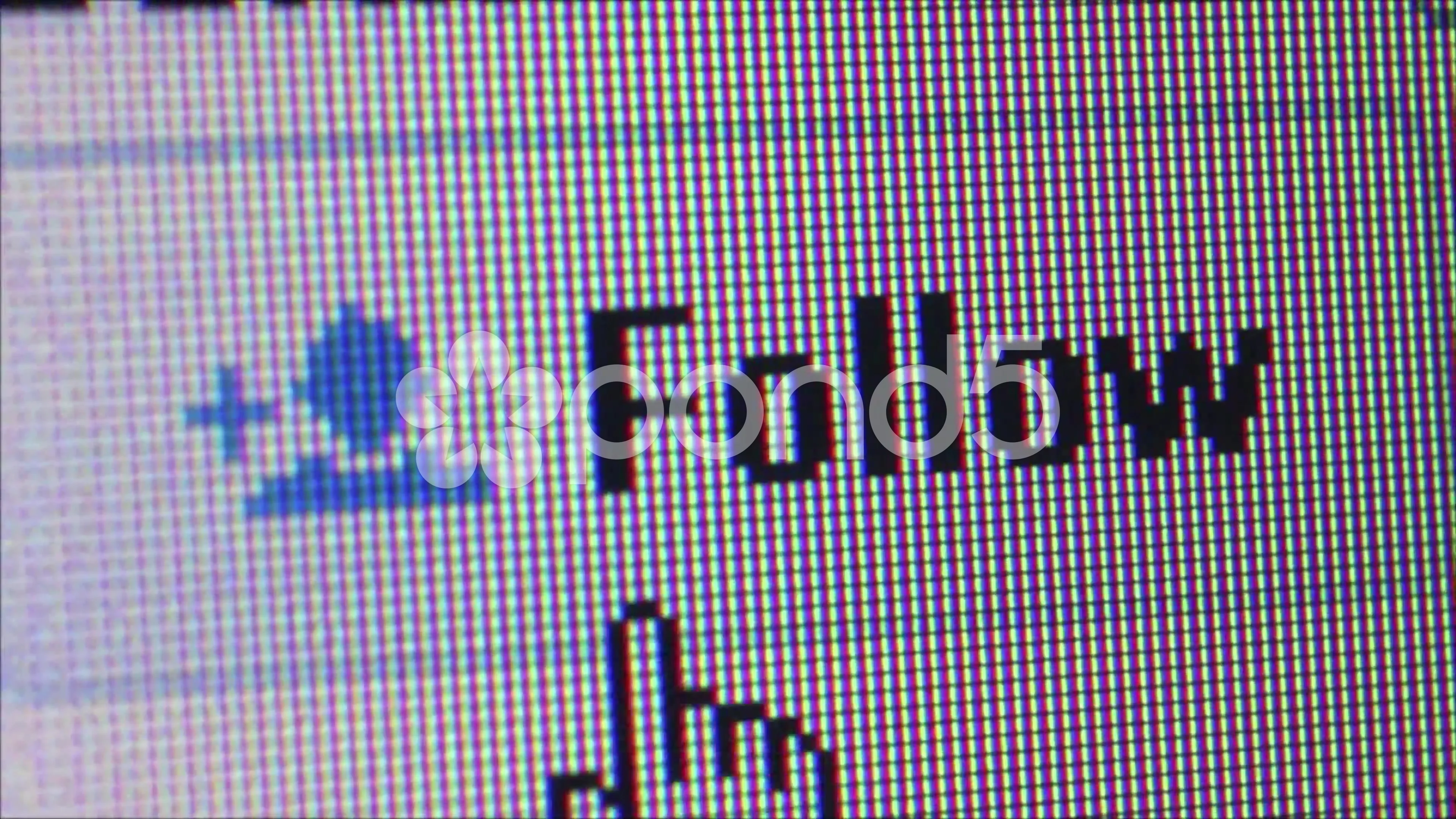 Follow Button Twitter