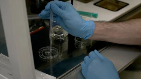 Using the ivf oil solution for artificia... | Stock Video | Pond5