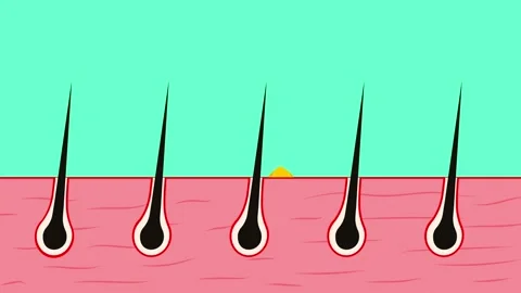 Hair Oil Wells Stock Videos – Royalty-Free HD & 4K Videos | Page 2