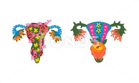 Uterus or Womb Arranged from Flowers and Plants as Healthy Female ...