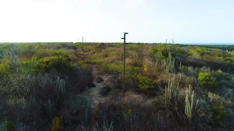 Utility pole power lines cut across dese... | Stock Video | Pond5