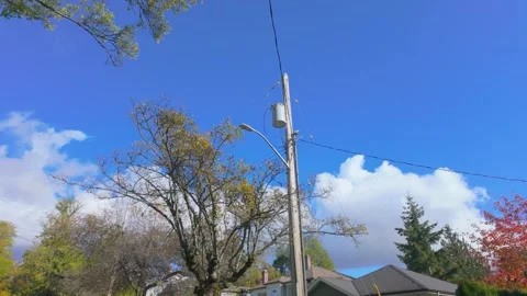 Utility pole surrounded by trees and roo... | Stock Video | Pond5