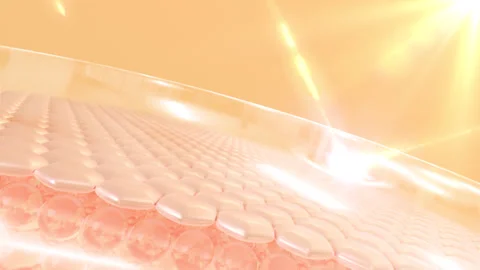 Skin Cells Animation Stock Footage ~ Royalty Free Stock Videos | Pond5