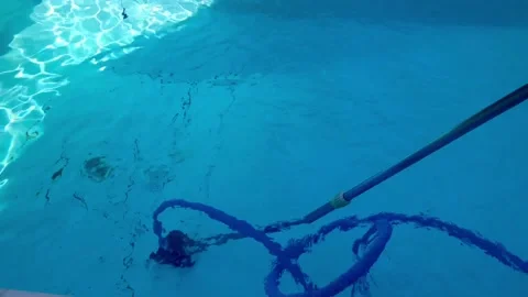 Vacuuming swimming pool floor debris wit... | Stock Video | Pond5