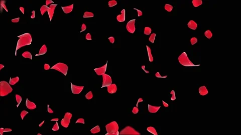 Flower Background Funeral Stock Videos – Royalty-Free HD & 4K Videos ...