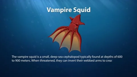 Vampire Squid - Animated Text Informatio... | Stock Video | Pond5