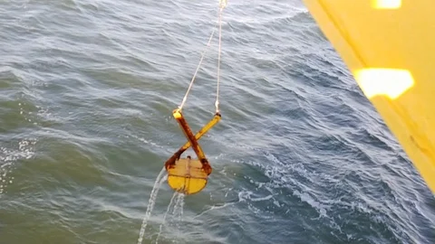 Pick Up Plankton Stock Footage ~ Royalty Free Stock Videos | Pond5