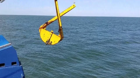 Pick Up Plankton Stock Footage ~ Royalty Free Stock Videos | Pond5