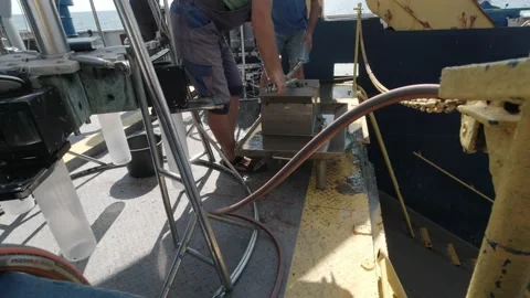 Pick Up Plankton Stock Footage ~ Royalty Free Stock Videos | Pond5