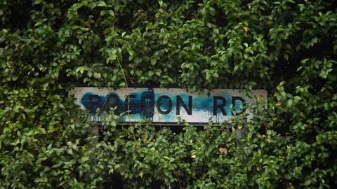 Vandalized road sign covered in graffiti | Stock Video | Pond5