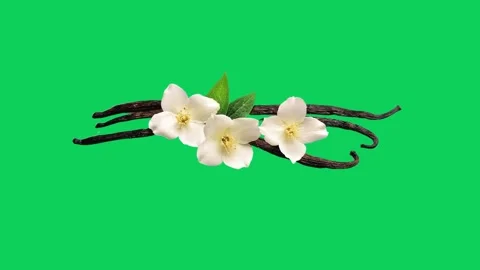 Vanilla ingredients, green screen backgr... | Stock Video | Pond5