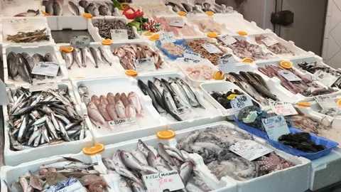 Variety of fresh fish being sold in a we... | Stock Video | Pond5