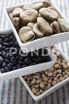 Various Types Of Dried Beans - Stock Image - Everypixel
