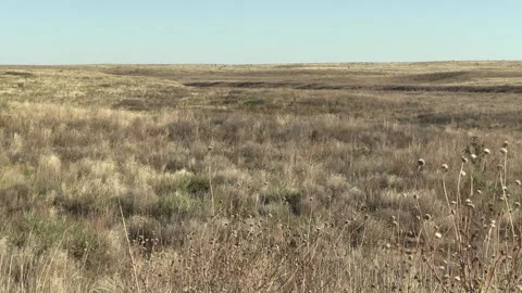 Empty Plains Stock Videos – Royalty-Free HD & 4K Videos