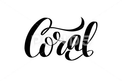 Vector calligraphy illustration isolated on white background.: Royalty ...