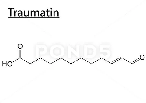 Vector of the chemical molecule structure of Traumatin (Sweetener) on a ...