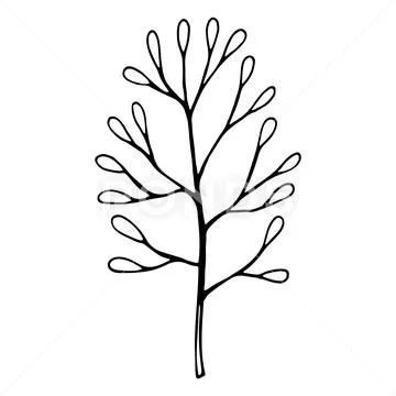 Vector contour drawing. Hand drawn trees doodle Illustration #142876764