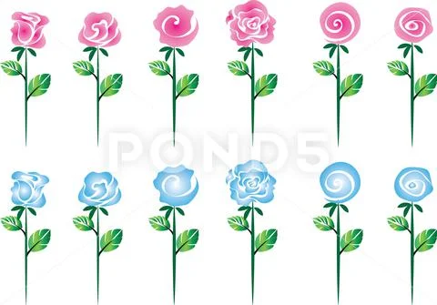 Vector drawing colour rose background design set ~ Clip Art #148061843